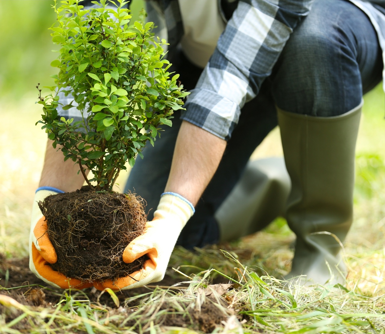 Traueranzeigen von Werner Roth | Trauerportal Ihrer Tageszeitung